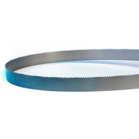 Lenox Classic Ctl Bandsaw Blade 11' 5"" Long X 1"" Wide 4/6